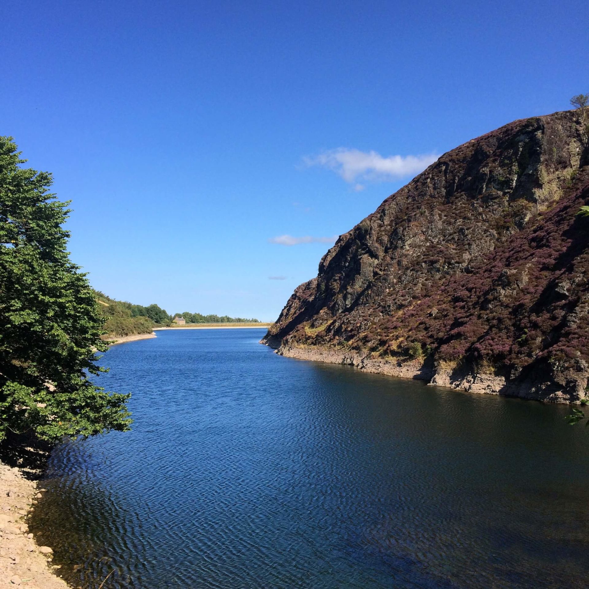 Edinburgh Craft Beer Guide