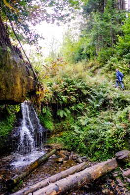Maspie Den and Falkland, Fife - Love from Scotland