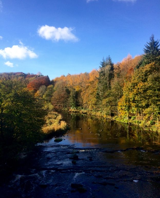 Almondell Country Park - Love from Scotland