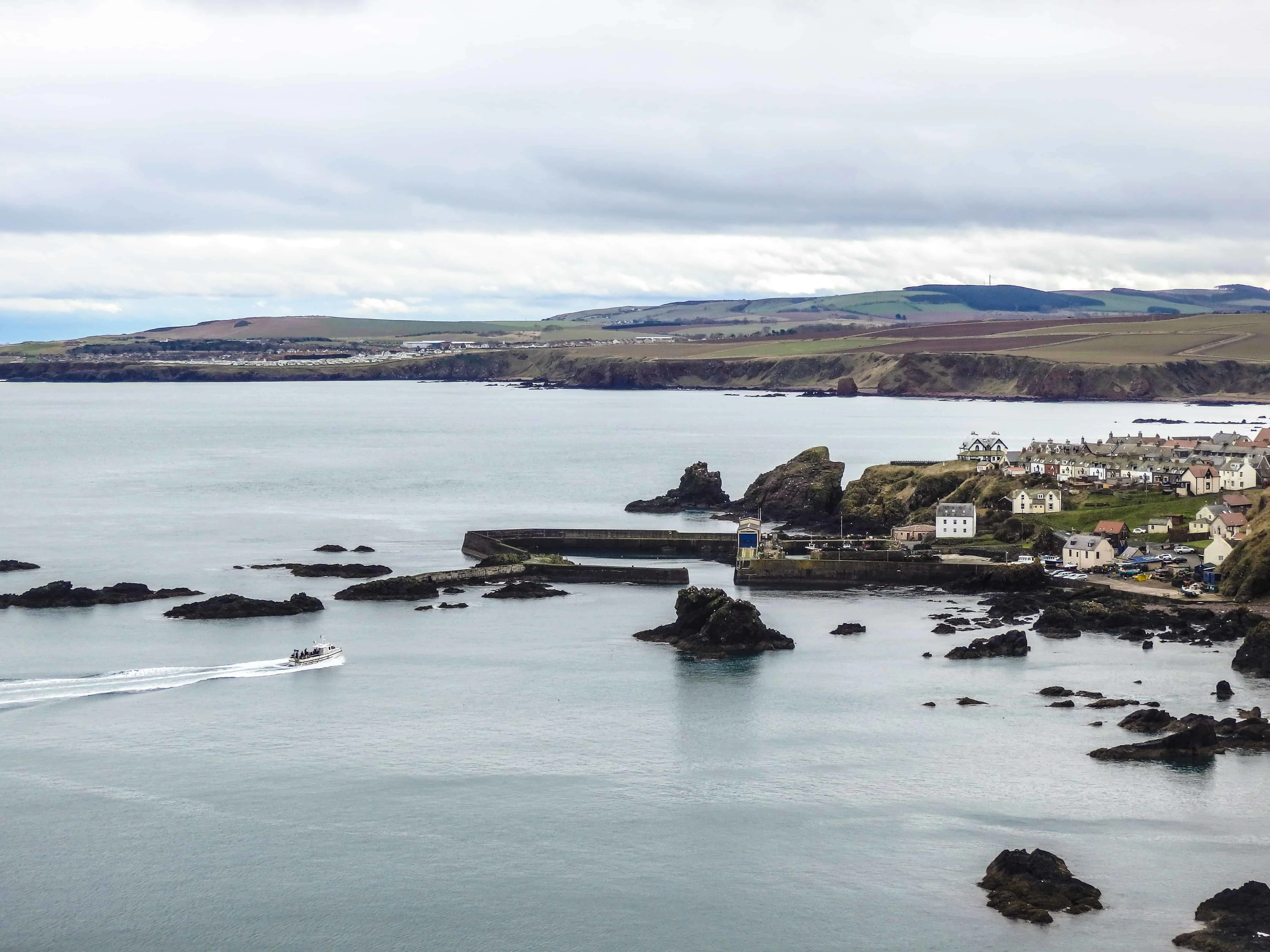 St Abbs - six reasons to visit St Abbs in the Scottish Borders