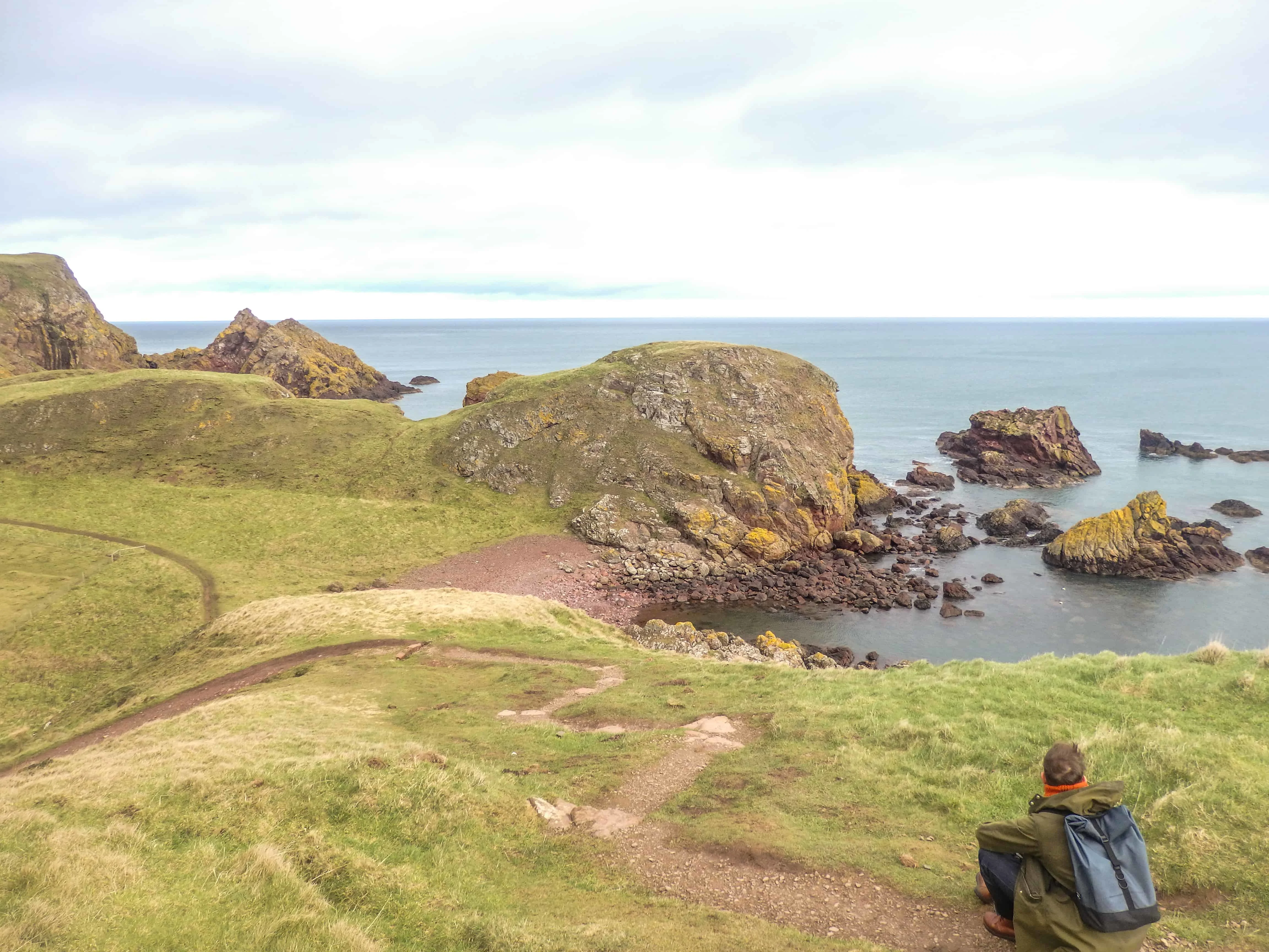 St Abbs - six reasons to visit St Abbs in the Scottish Borders