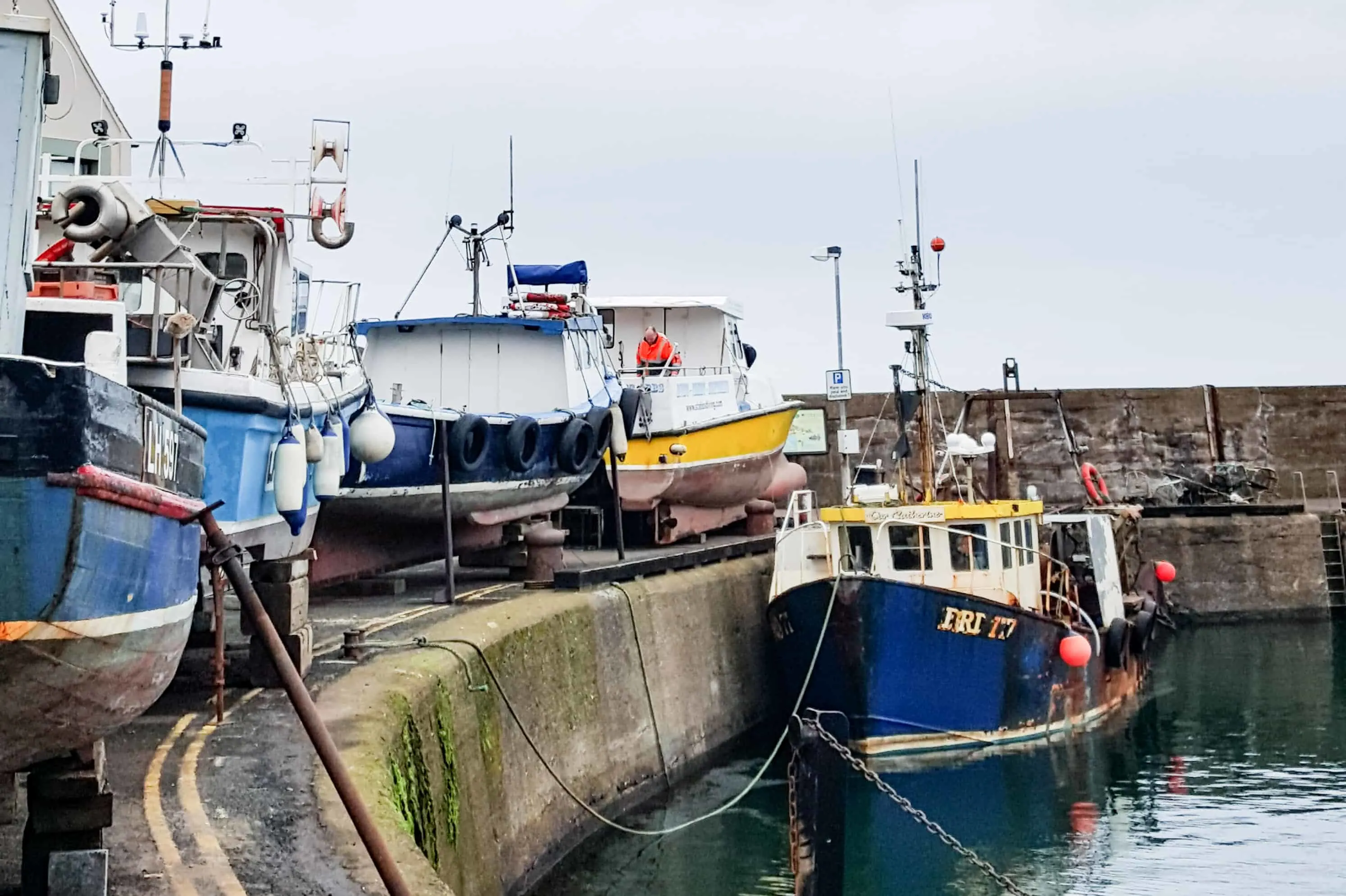 St Abbs - six reasons to visit St Abbs in the Scottish Borders