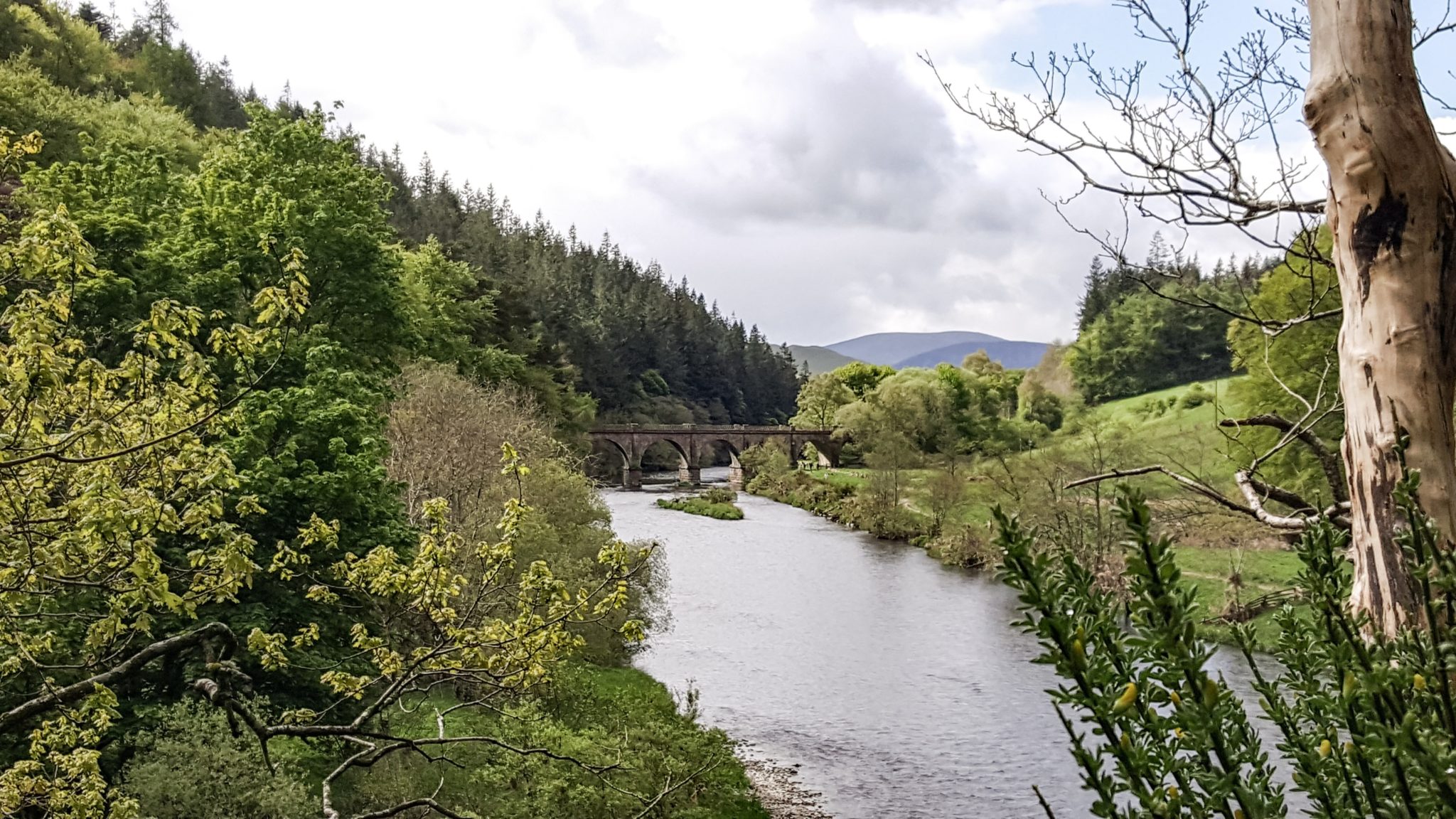 River Tweed Peebles (2) – Love from Scotland