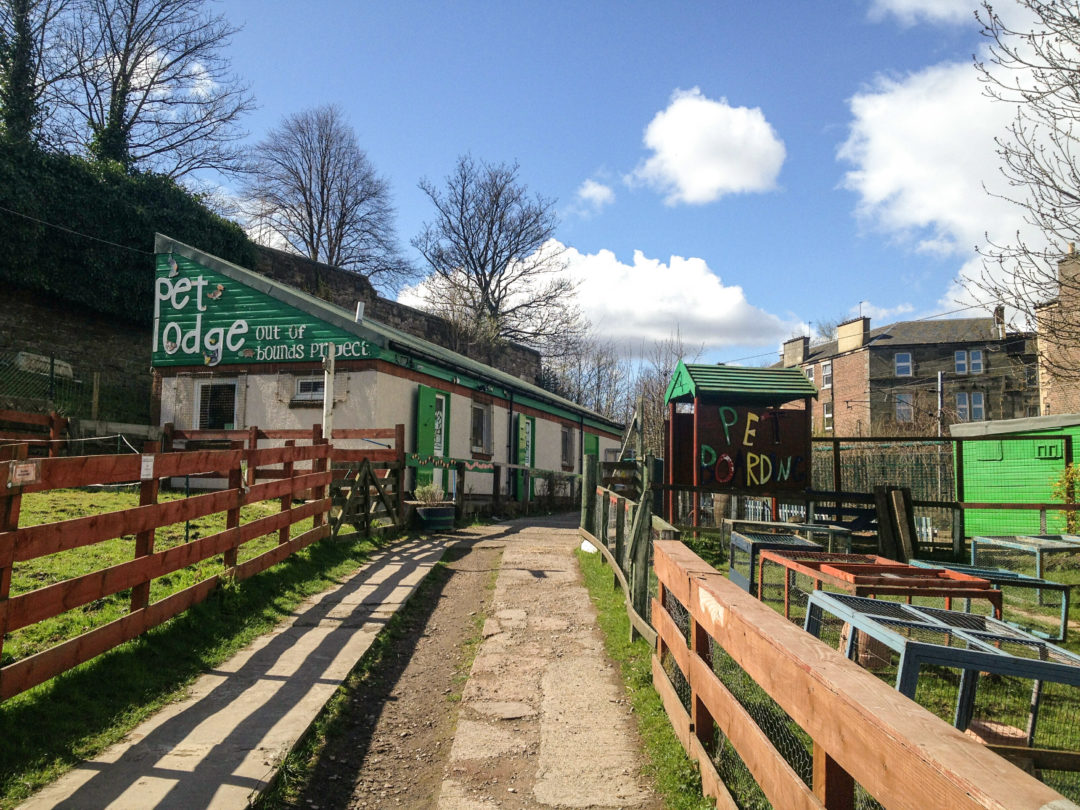 Gorgie City Farm – Love from Scotland