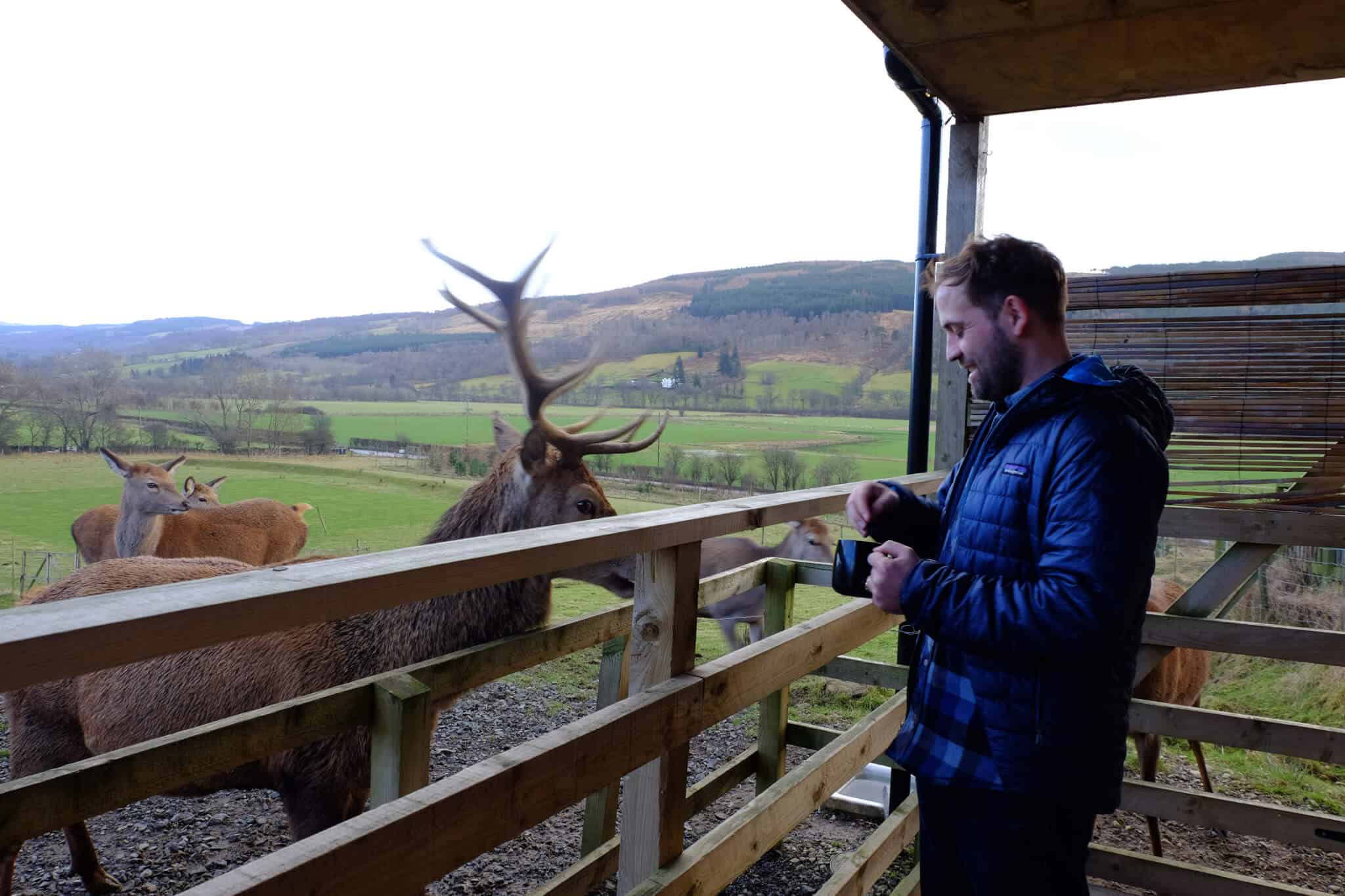 Discovering Scotland's big five on a trip into the hills with Highland ...