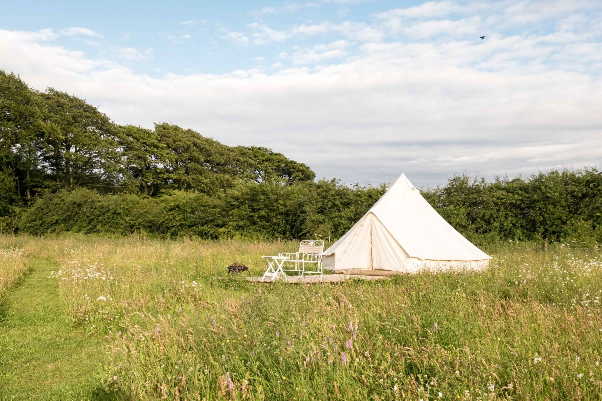 Greenhillock Camping, Forfar - Love from Scotland