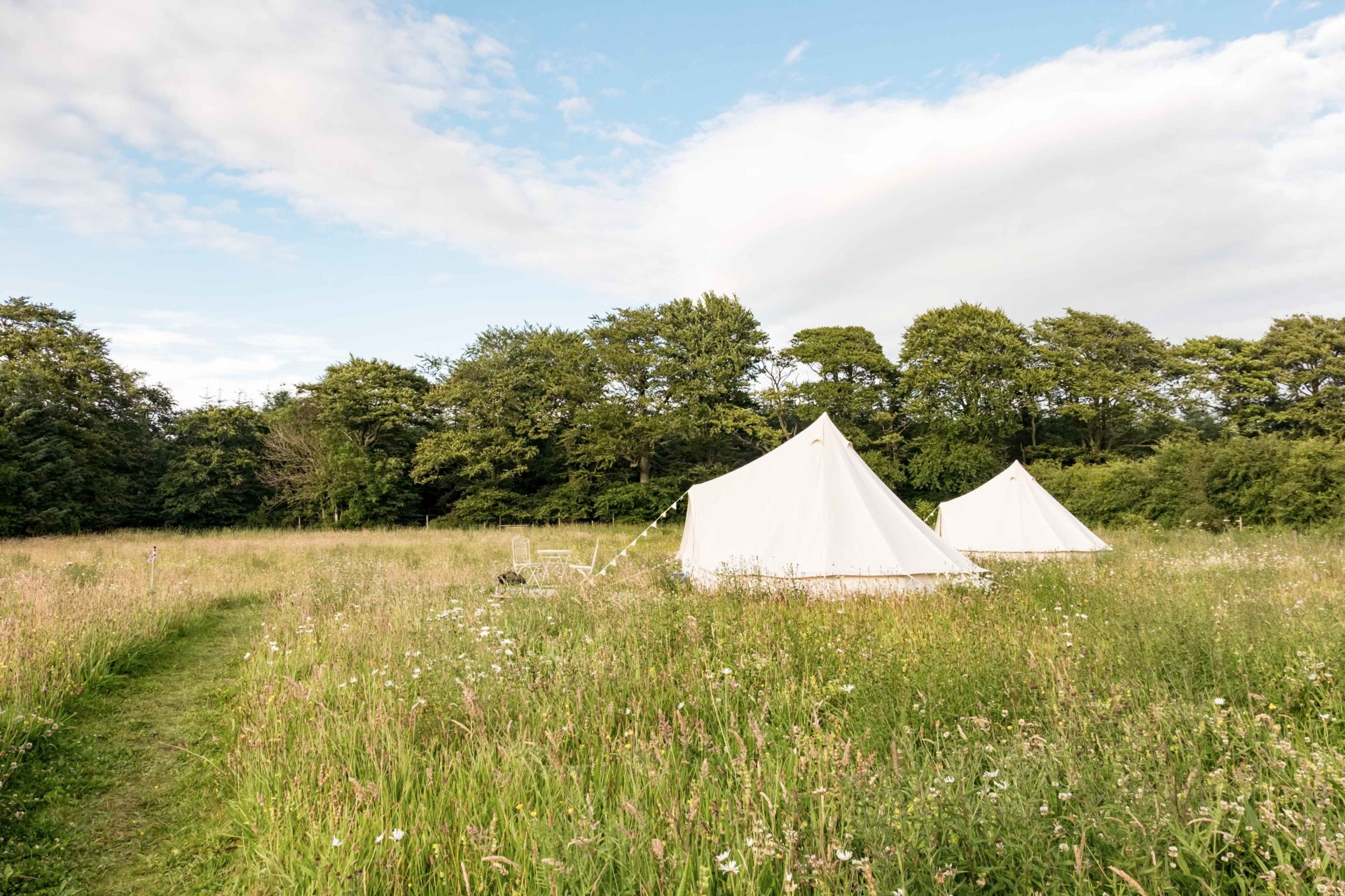 Greenhillock Camping, Forfar - Love from Scotland