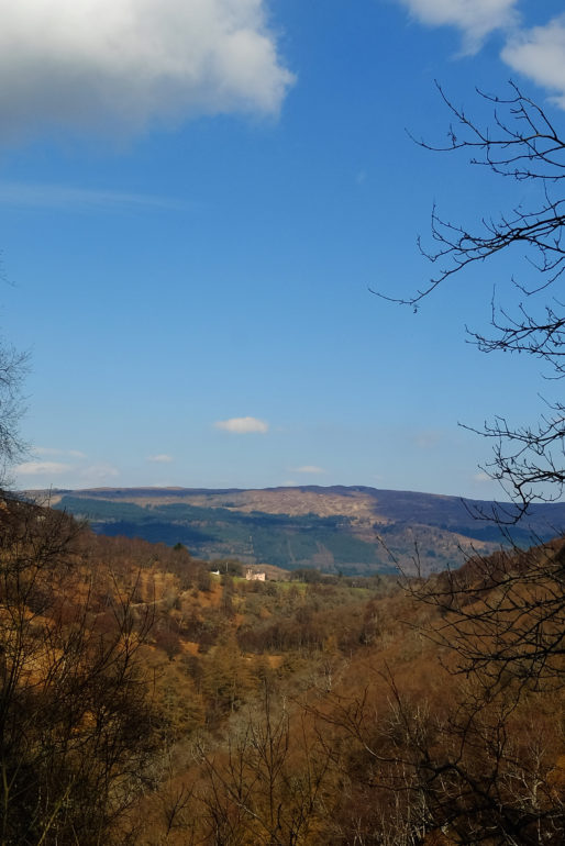 Culachy-Estate-5 - Love, from Scotland