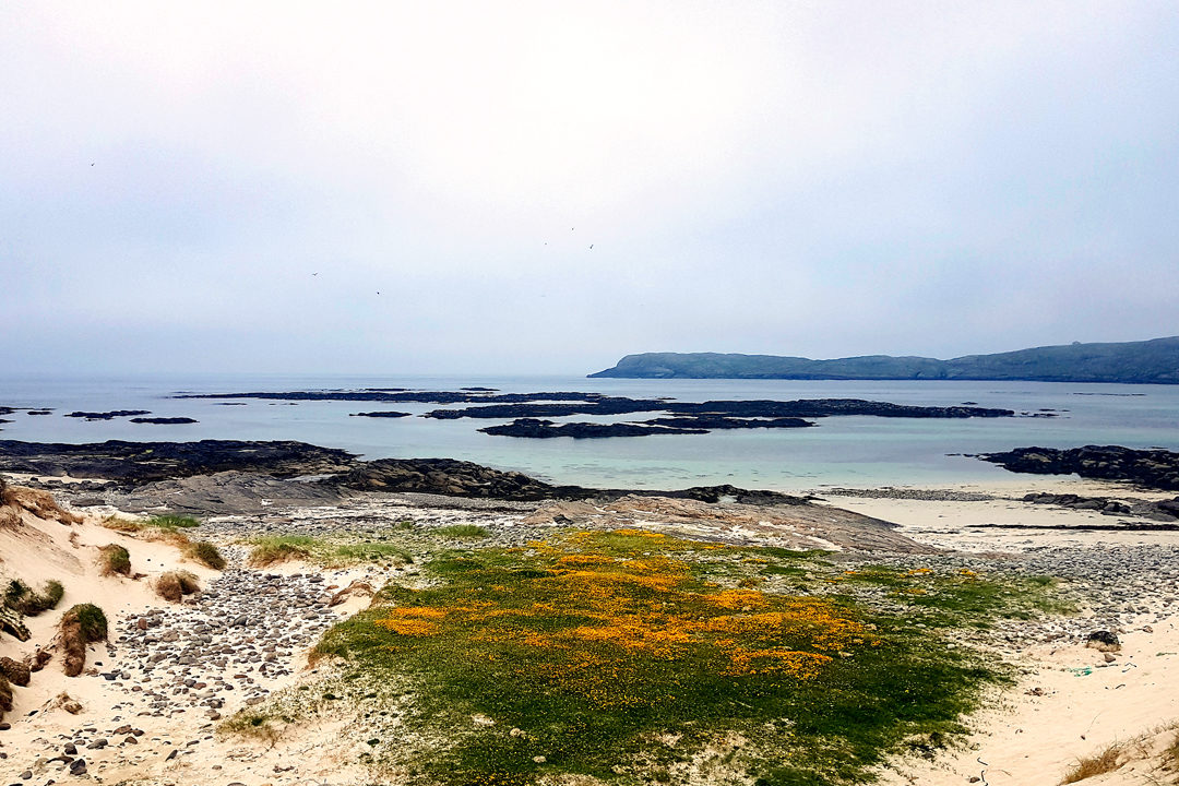 Machair-Barra - Love from Scotland