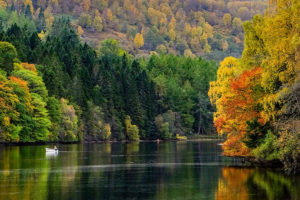 The best forest walks in Scotland - Love from Scotland