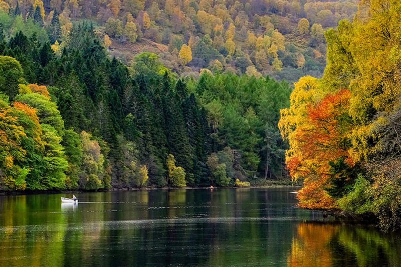 The best forest walks in Scotland - Love from Scotland