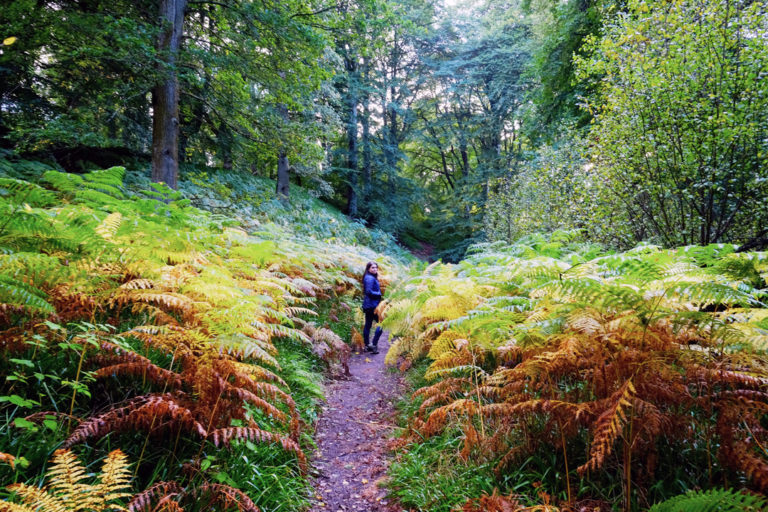 Leaf peeping: where to visit Scotland in Autumn - Love from Scotland
