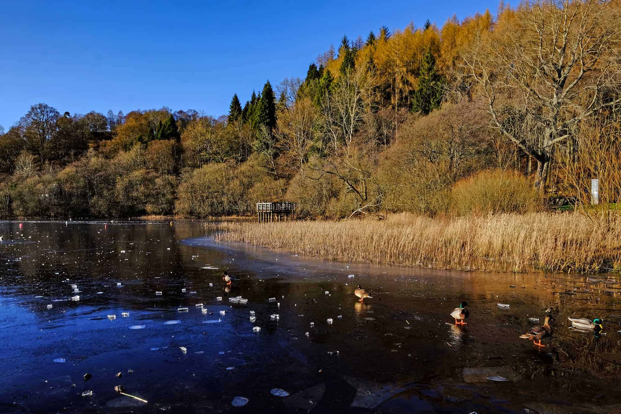 Balmaha, Loch Lomond - things to do at Balmaha