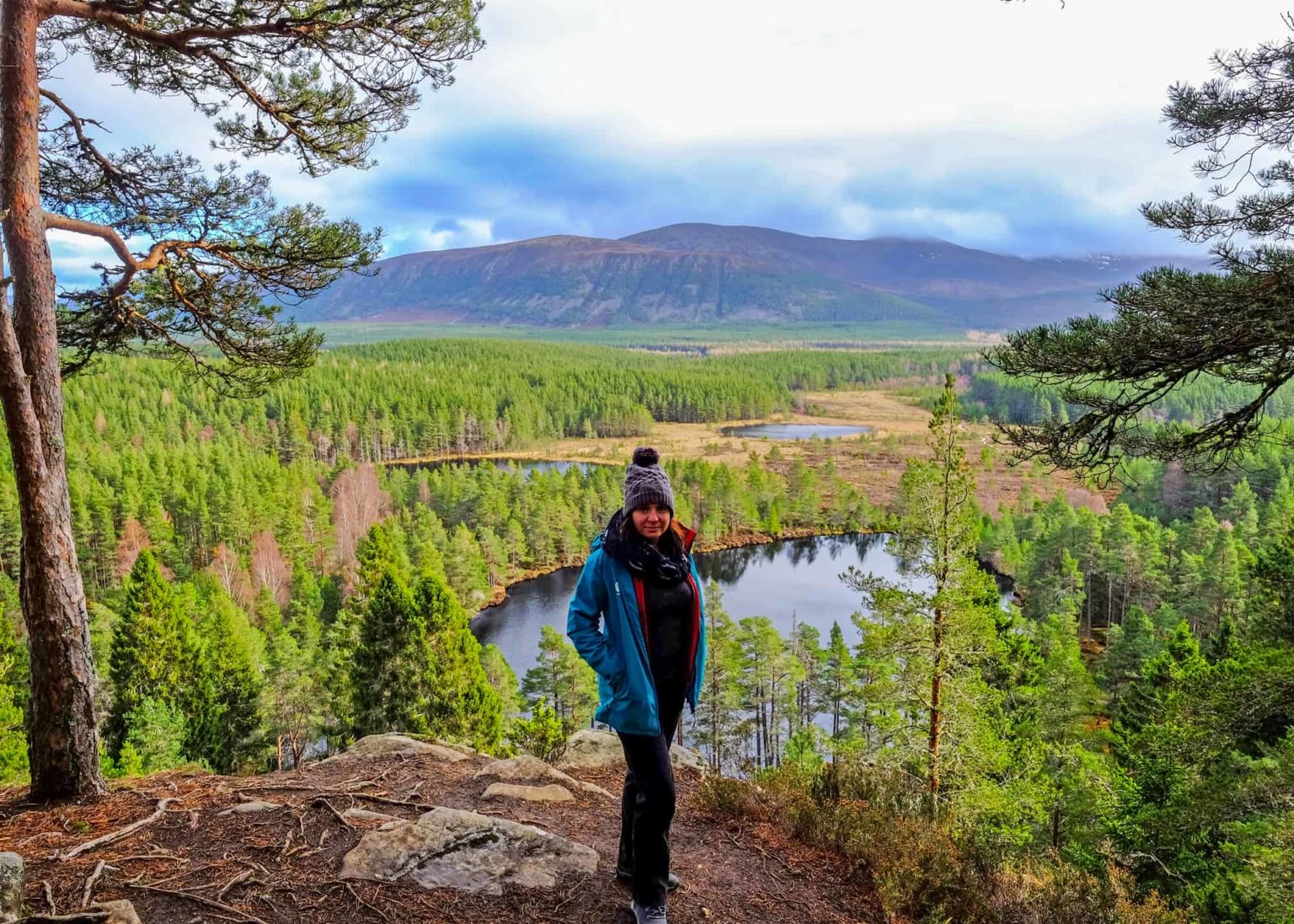 The best forest walks in Scotland - Love from Scotland