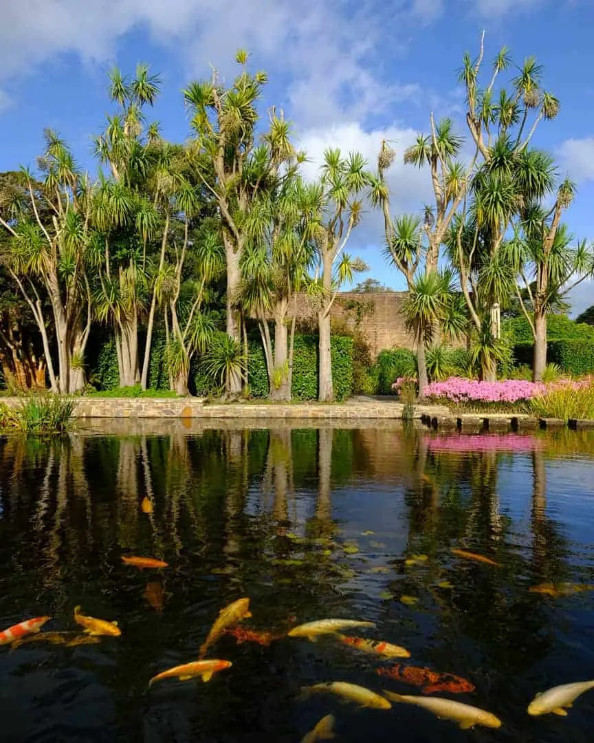 Logan-Botanic-Garden-1 - Love from Scotland