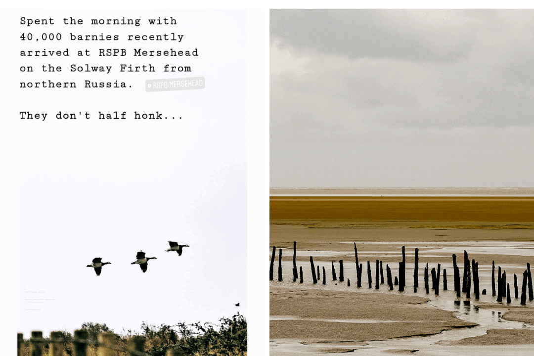 RSPB Mersehead - Love from Scotland