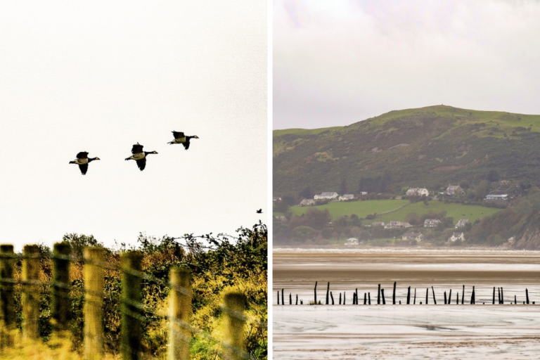 SWC300 - How to drive the South West Coastal 300