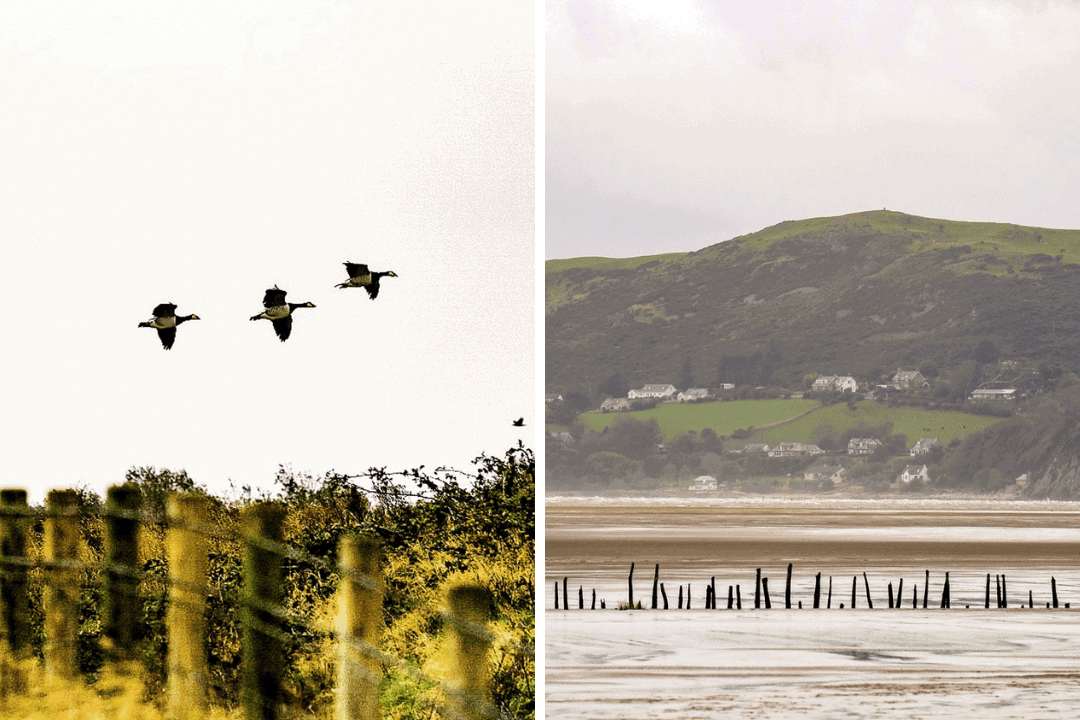 SWC300 - How to drive the South West Coastal 300