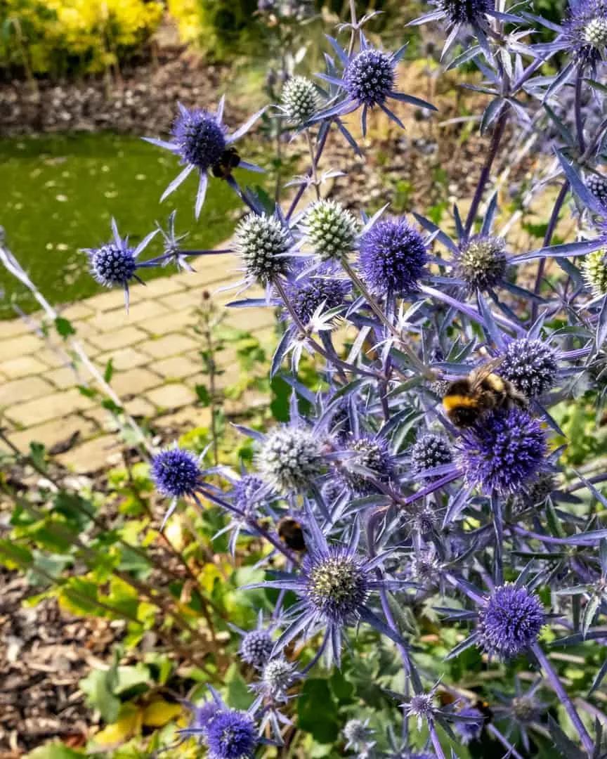The Dunmore Pineapple and Dunmore Estate, Outlander Scotland