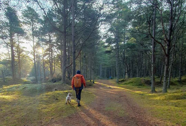 Scotland's best walks - Tentsmuir Beach & Forest, Fife - Love from Scotland