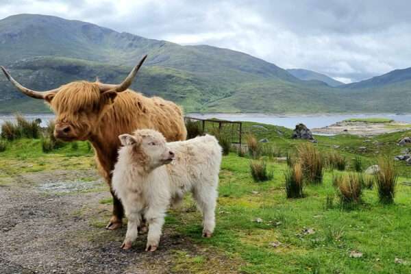 An introduction to Knoydart - Kinloch Hourn - Love from Scotland