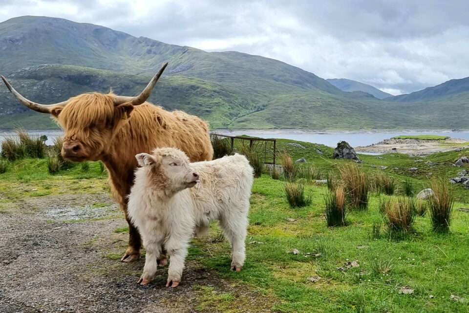 An introduction to Knoydart - Kinloch Hourn - Love from Scotland