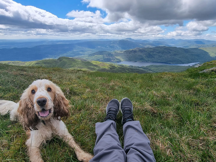 The best forest walks in Scotland - Love, from Scotland