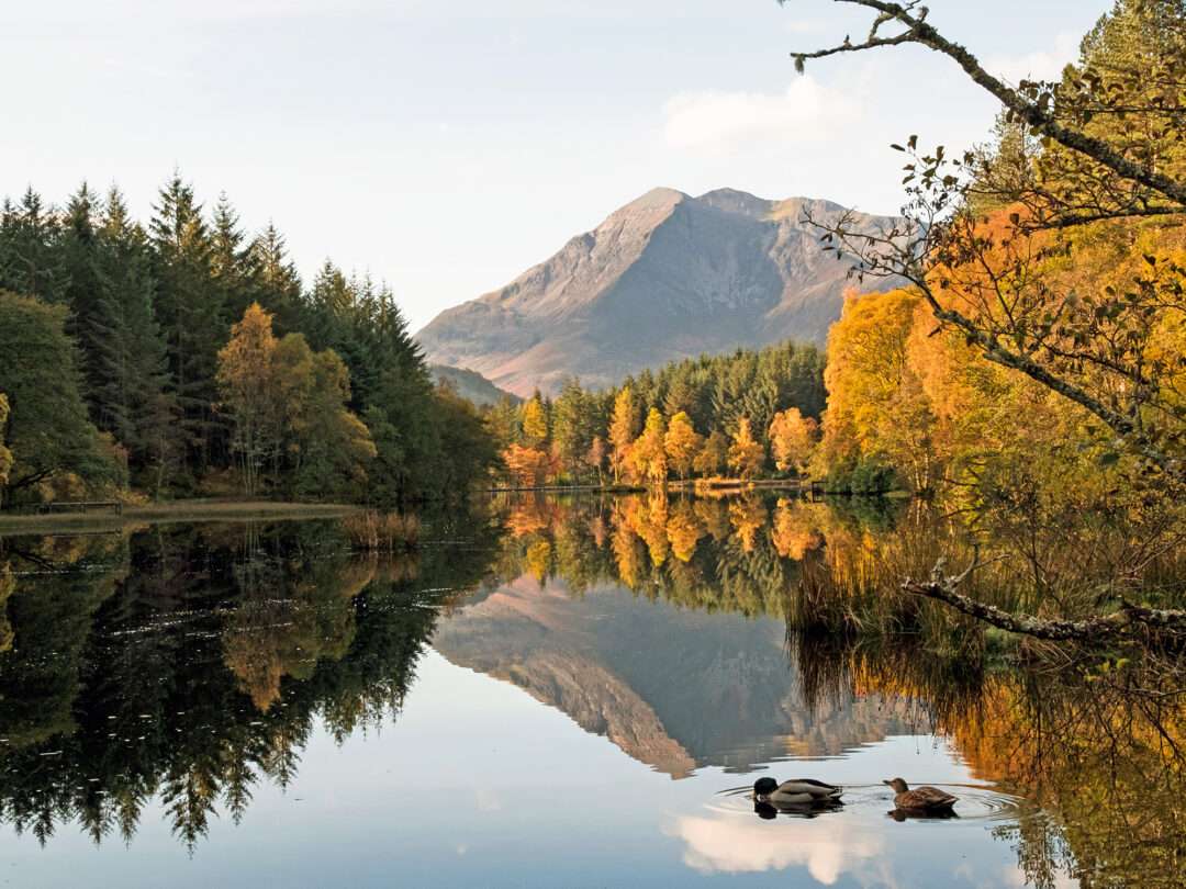 Leaf peeping: where to visit Scotland in Autumn - Love from Scotland