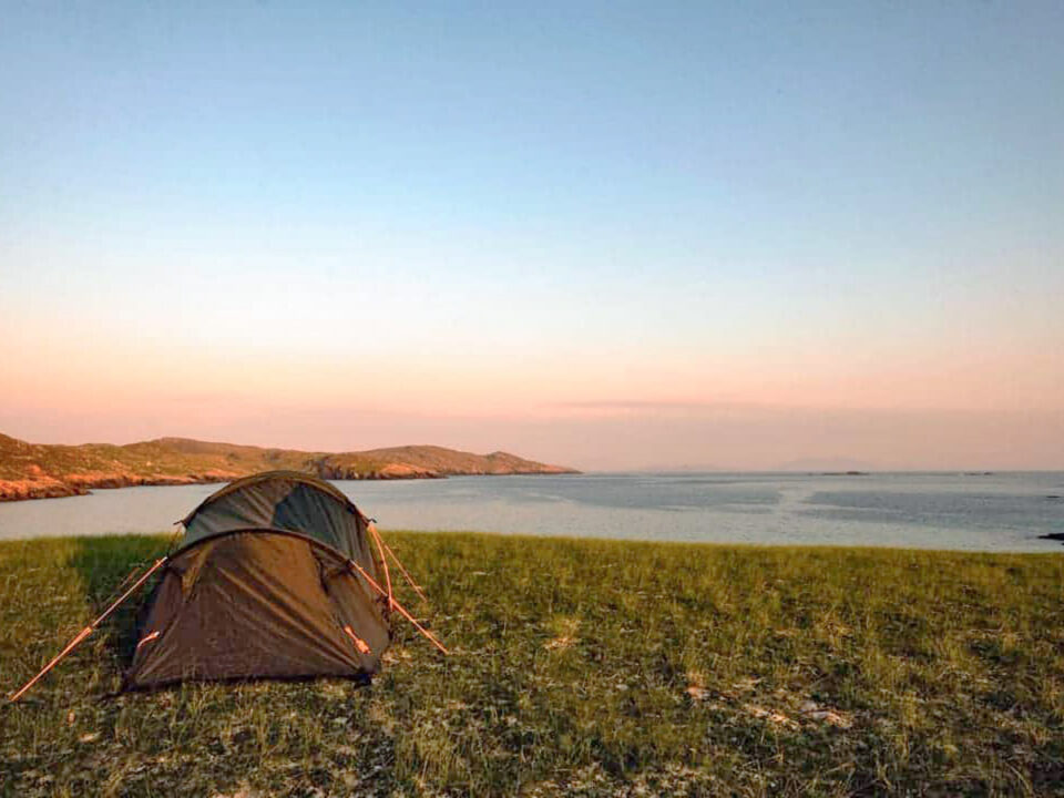 Scottish Midges: Summer 2026 Survival Guide (where & how to avoid ...