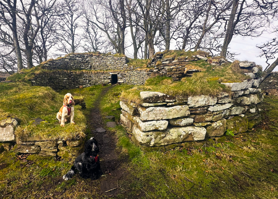 Brochs in Scotland - go back in time to visit the Iron Age - Love from ...