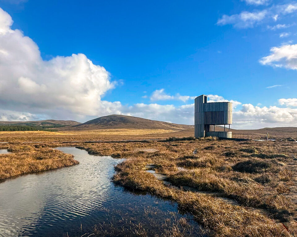 Why you should visit a 10,000 year old peat bog in Scotland - Love from ...