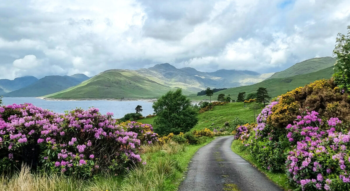 Fall in Love with Scotland in Spring